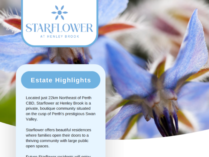 Starflower